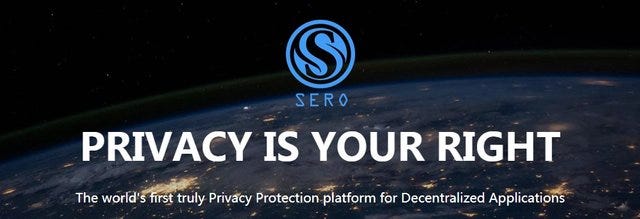 What is SERO? Overview of the SERO project | by HA HA HA_MIG | Medium