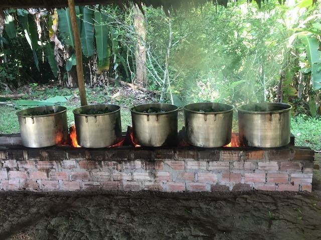 How To Integrate An Ayahuasca Ceremony | by Alex Theberge, MFT | Medium