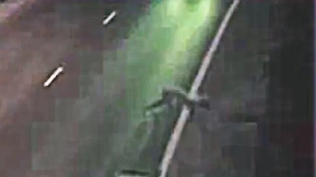 Strange Humanoid Creature Captured Crossing Highway | by Terry Larch ...