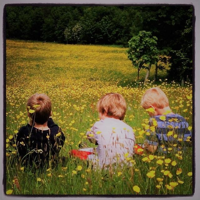 Go Wild: 5 top tips for enjoying the outdoors with children | by Wild ...