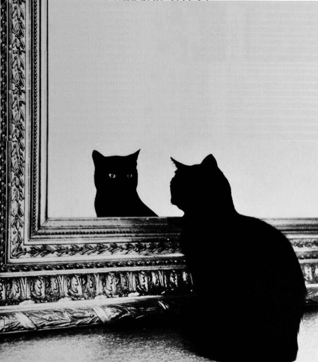Dancing with Contradictions. I am a walking paradox. | by reverie | Oct ...