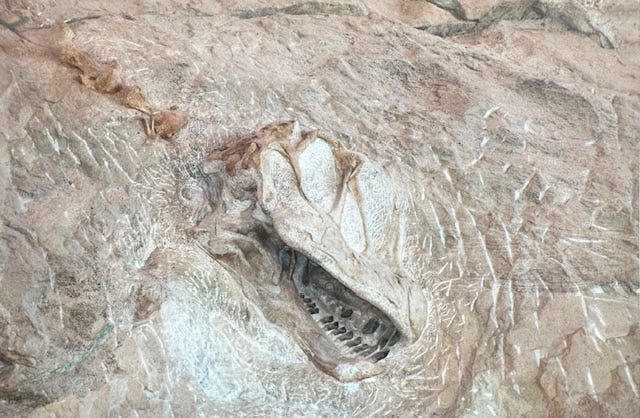 A National Monument Where Dinosaurs Once Roamed | Globetrotters