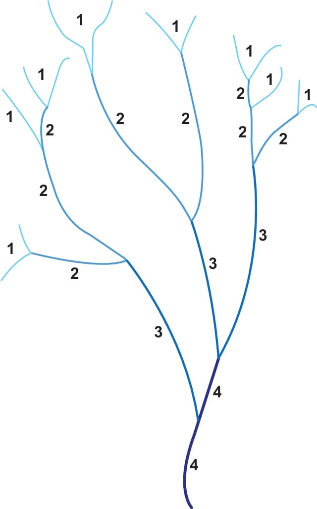 Stream Order Extraction From Dem Data Using Arcmap By Ankita Gupta Medium 0786