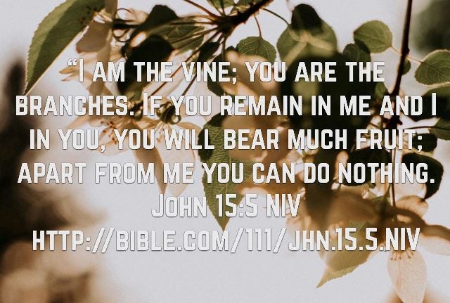 We the Branches!. https://lifeofthebranch.wordpress.com/20… | by Life ...