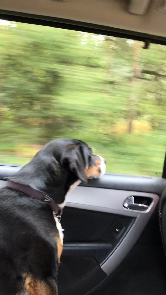 You choose to see-Day 24 - yen monles - Medium