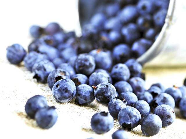 Manfaat Buah Blueberry Untuk Mata | by Obatmata minusherbal | Medium