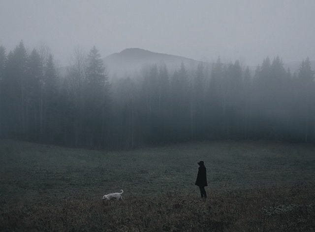 Melancholy. A Beautiful Paradox | by Snehanjali Panigrahy | Medium
