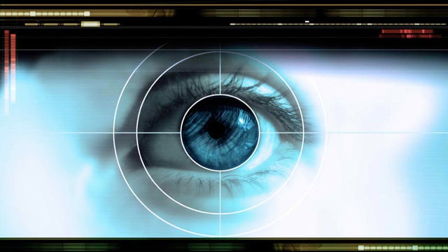 10 Fundamental Limits to Human Perception ... | by Chris Beall | Medium