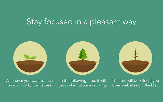 Why I don’t use Forest App to focus (I don’t need it) | by Vojtech ...