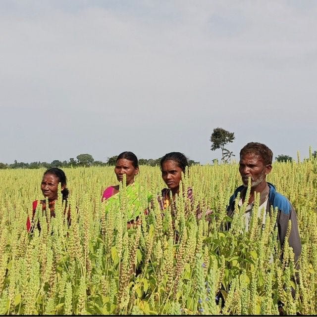 Chia Seeds: A Double Boon for Farmers and Human Health | by Satisha ...