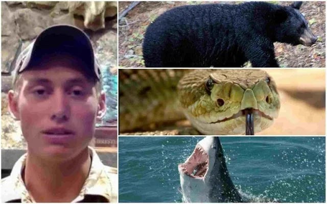 Unlucky Guy Gets Attacked By Bear, Snake And Shark | by Terry Larch ...