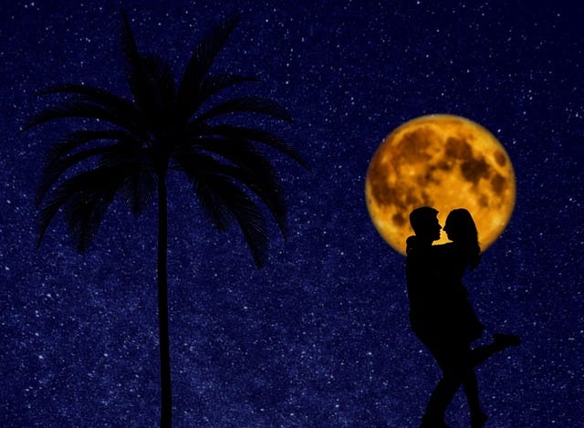 Timid Beginnings - Write Under the Moon - Medium