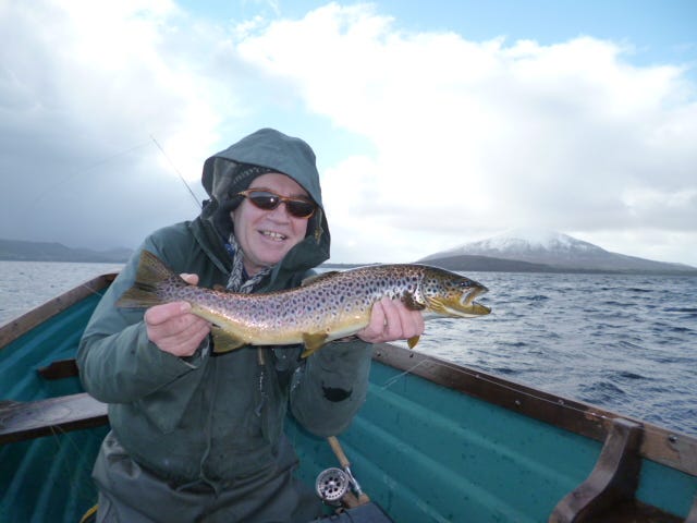 Understanding Irish Brown Trout. A three year research study between ...