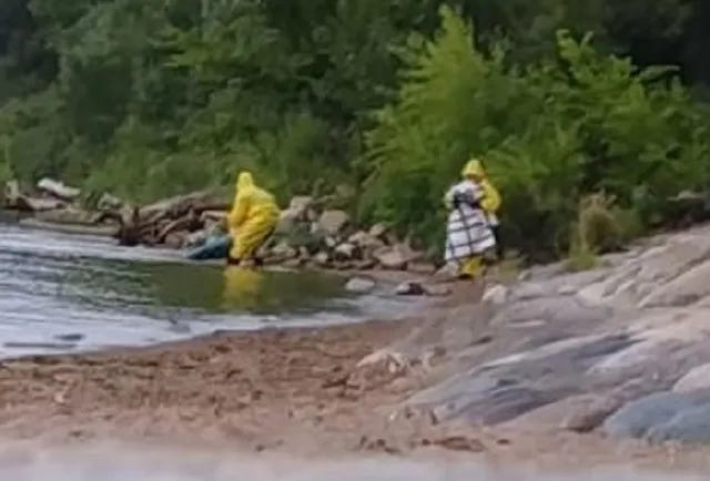 Minnesota Mermaid Body Found In Lake? | by Terry Larch | freaklore | Medium