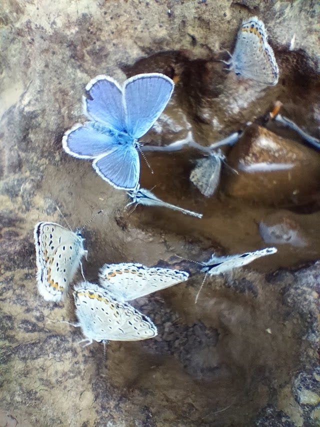 Crashing Waves. Vignette 1 | by Aero | Medium