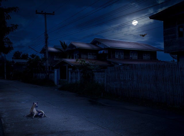 The Yellow Terror Makes You Wet. A Love Story, Almost | by read4fun ...