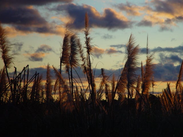 Alone. Chapter 1 | by Maggie O'Dempsey | Medium