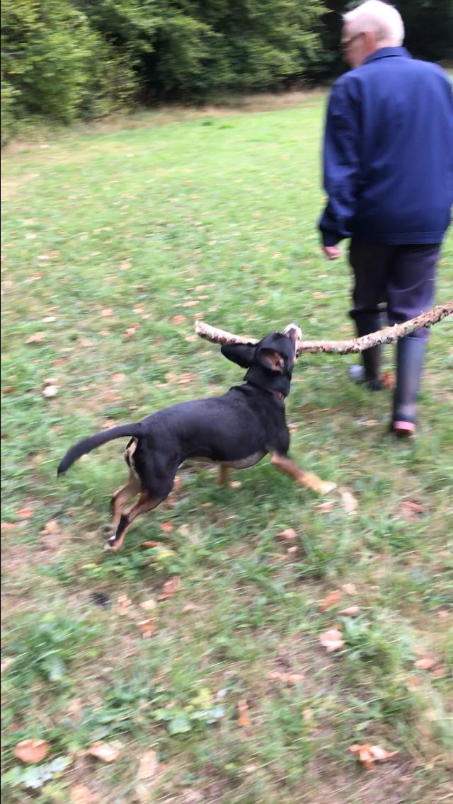 Happy jump — Day 15 & 16 - yen monles - Medium