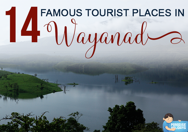14 Famous Tourist Places in Wayanad | by Paradise Holidays | Medium