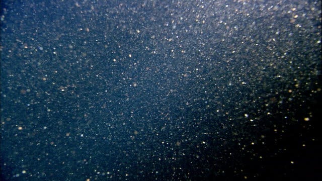 Will Marine Snow Composition Significantly Alter as Climate Change ...