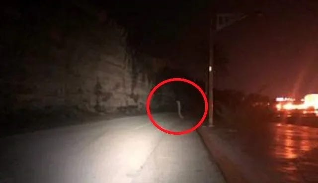 Giant Mutant Worm Wiggles Across Mexican Road | by Terry Larch ...