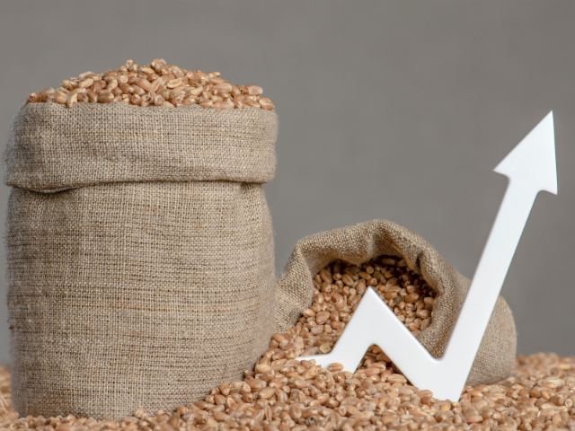 Grains Market Price Behavior Effects On U.S. Economy | by NinjaTrader ...