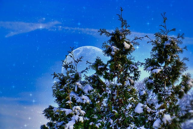 Winter Dream - Crescent Moon - Medium