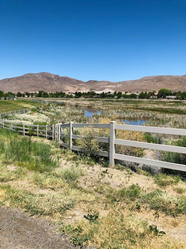 America’s Empty Places. The Continental United States of… | by Daniel G ...