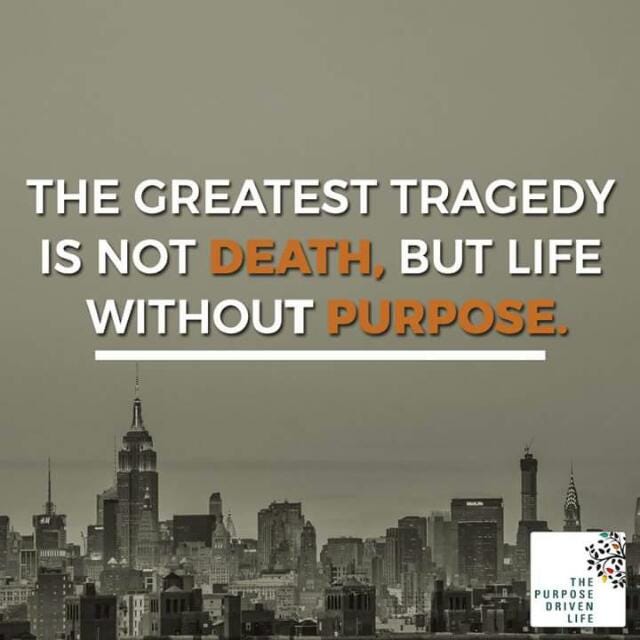 CRY FOR SUCCESS. When I gaze at the world Am amazed by… | by Whyte ...