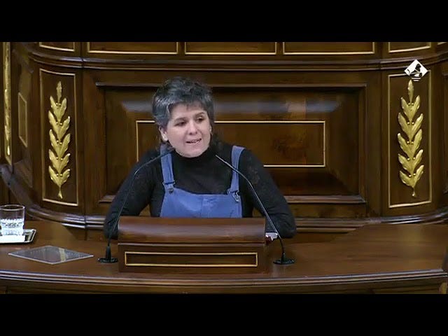 Gala Pin, de sumar, se opone a la ley del PSOE que criminaliza la ...