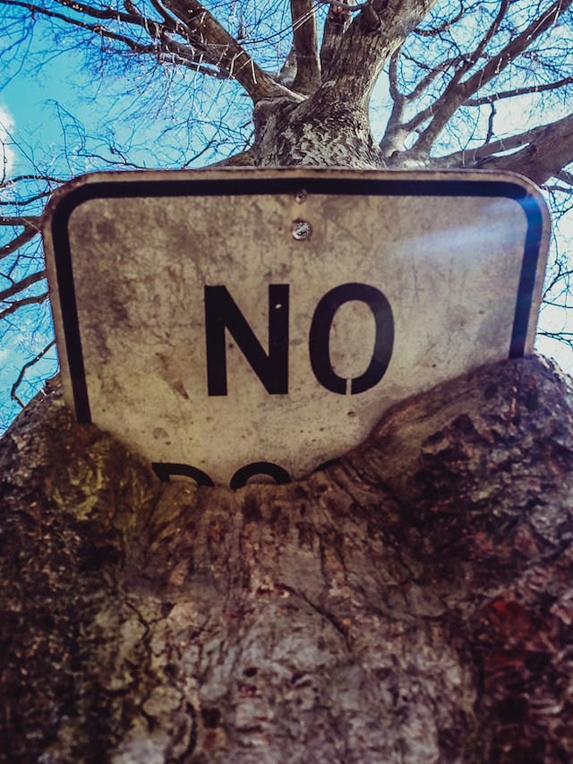 Don’t get dinged by ding letters: | by Frances A. Chiu, Ph.D. | writing ...