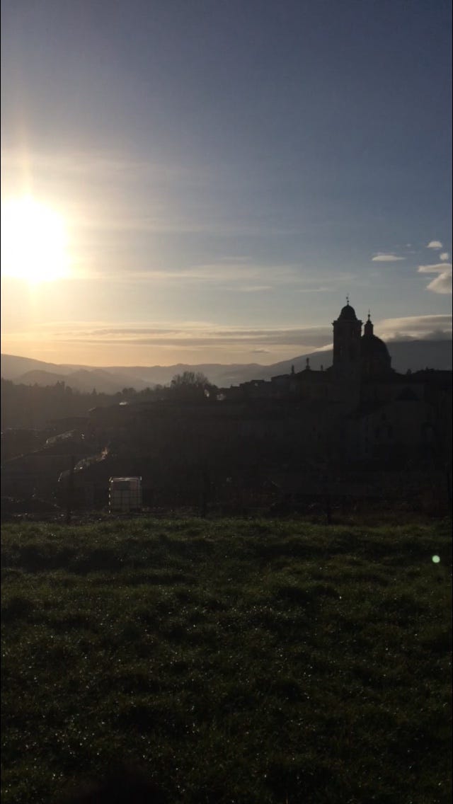 Finding something Beautiful. Nearly a month ago I was given the… | by Shannon Kendro | Medium