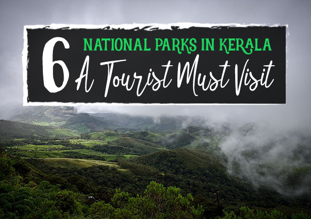 6 National Parks in Kerala a Tourist Must Visit | by Paradise Holidays ...