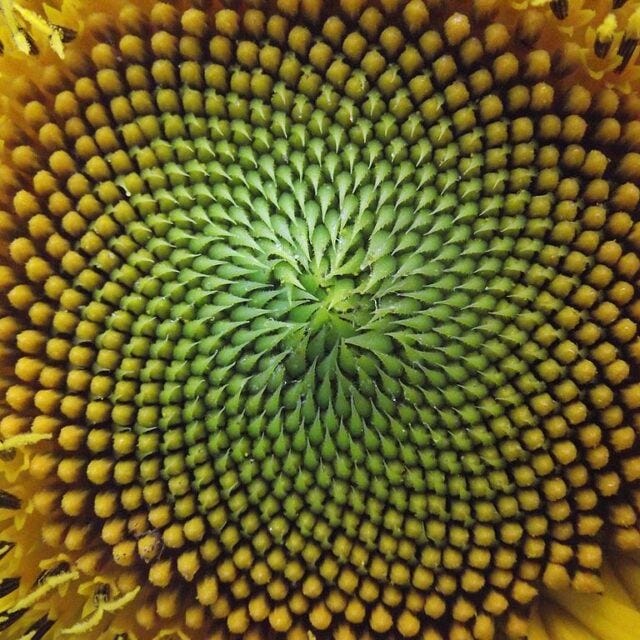 the godhead. an inquiry | by durthvader | Medium