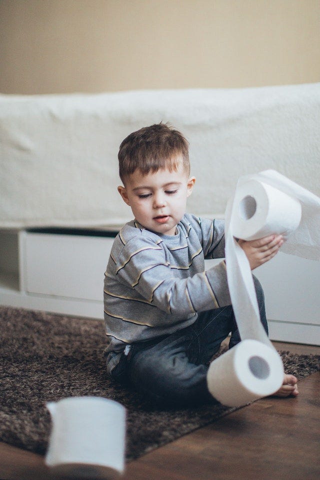 Toilet Paper Is A Must. Keeley Schroder July Writing Prompts | by ...