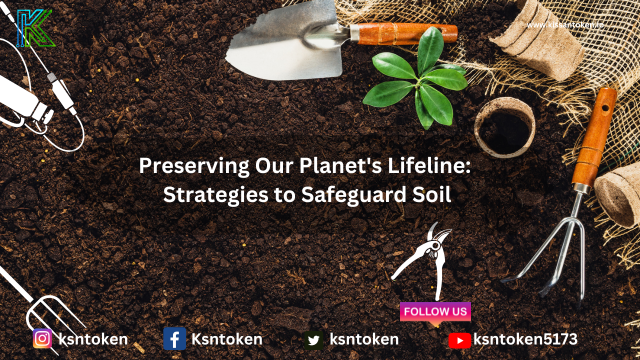 Preserving Our Planet’s Lifeline: Strategies to Safeguard Soil | by KSN ...