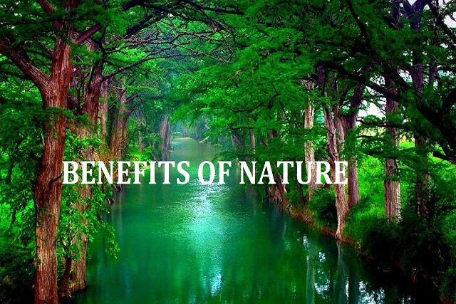 Benefits of Nature to Humans. Nature Benefits | by Narendrasingh Plaha ...