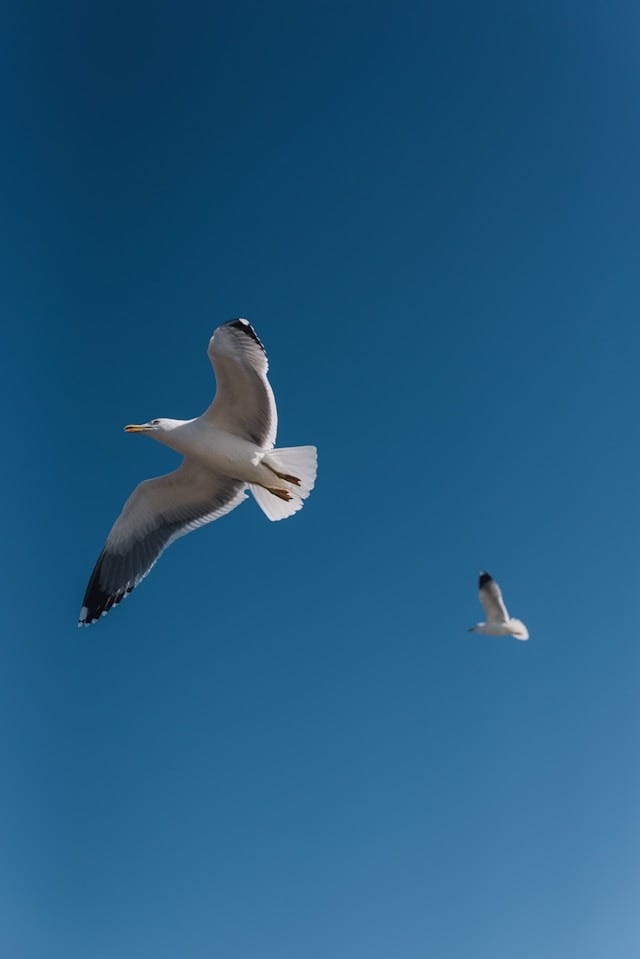 Feet First I Fly. A body in motion | by Jackie Olsen | Rainbow Salad ...