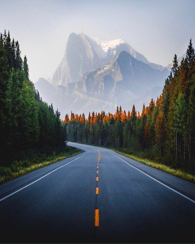 Your Way. Bold enough? | by Clara Mason | Medium