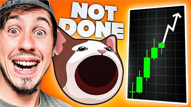 The POPCAT Airdrop: Your Guide to Success | by Popcat - Live Airdrop ...