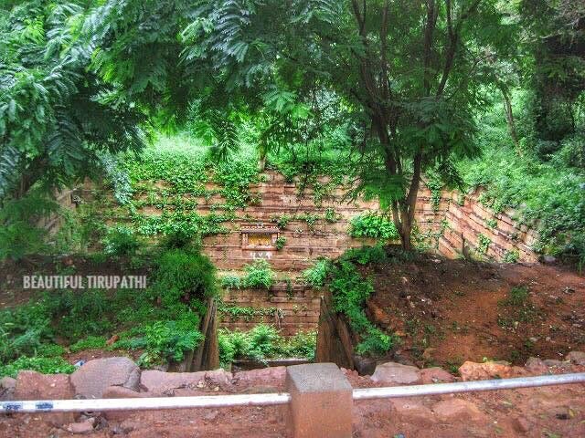 Forgotten Ancient Step Well….at Gali Gopuram , Tirumala | by Spandana ...