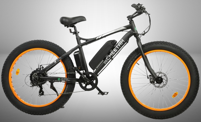 Elevate Your Ride: Navigating the Future with Ecotric Electric Bikes ...