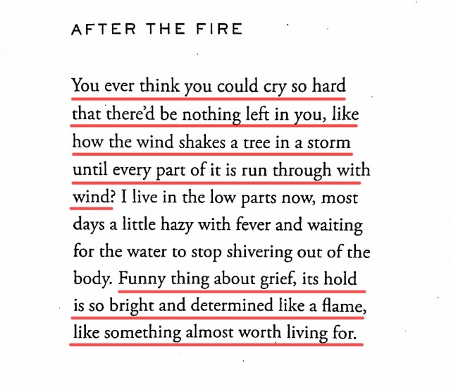 My favorite Ada Limón poems!. Hello, hello~ Today’s newsletter is… | by ...