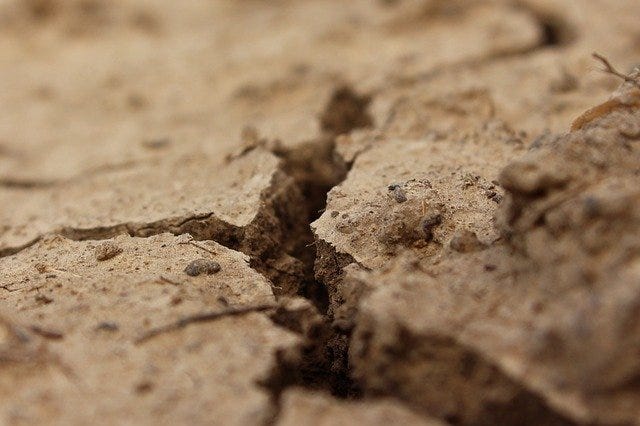 Our soils are in crisis. Here’s how science is trying to change their ...