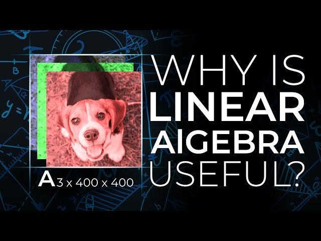 Why Is Linear Algebra Useful in Data Science? | by 365 Data Science ...