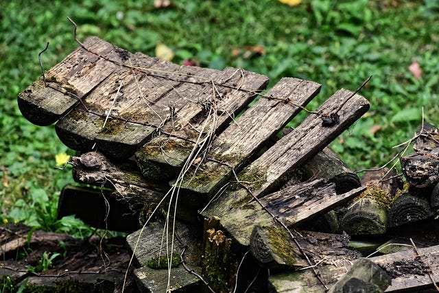 A Sneaky Way Boundaries Get Breached | by Karol Ward, LCSW | Career ...