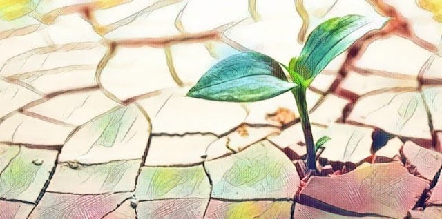 Dari Solilokui Pertanyaan sampai Di Kaki Ijen | by Mahfud Ridwan | Medium