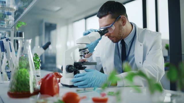 The Future of Food: Lab-Grown Meats | by Brian Twomey Dallas | Medium
