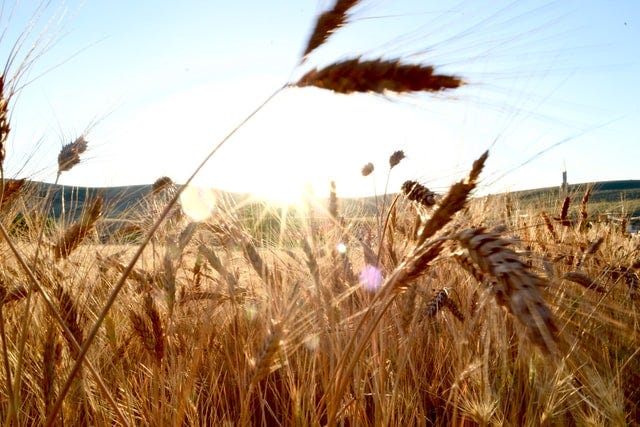 yield — Python (Part I). Unpacking what yield does by looking at… | by Diane Khambu | Analytics ...