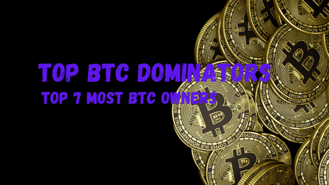 World BTC dominators — Who holds the most Bitcoin in the world? | by ...